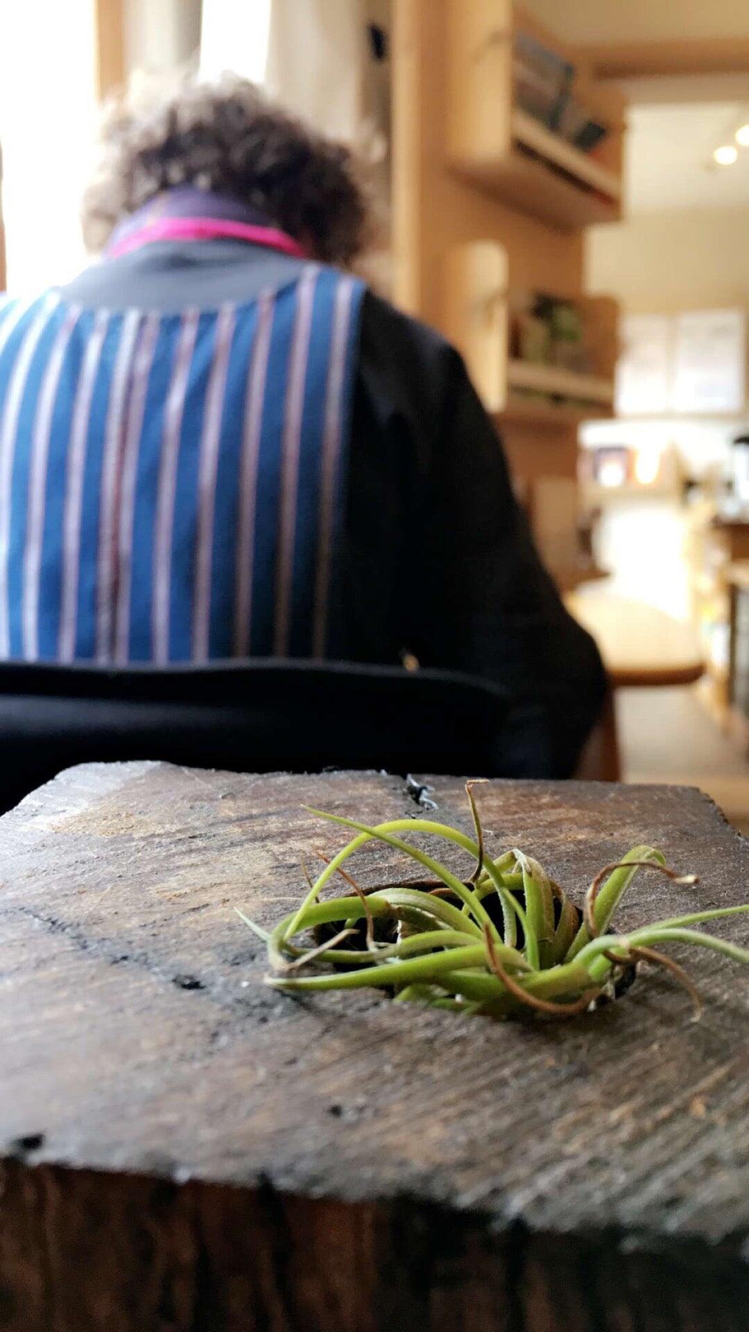 Lufkin Coffee Roasters - Cardiff - Nextdoor