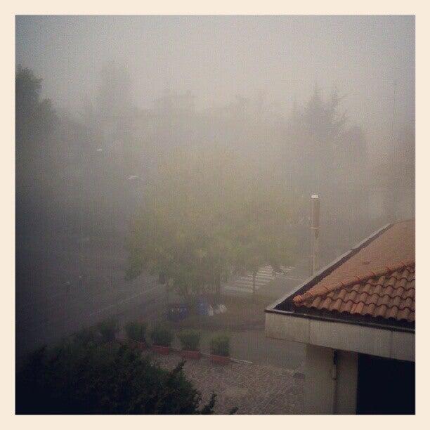 Gelateria L'Ora Glaciale - Nextdoor