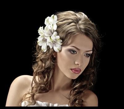 Evolution Style - Nextdoor