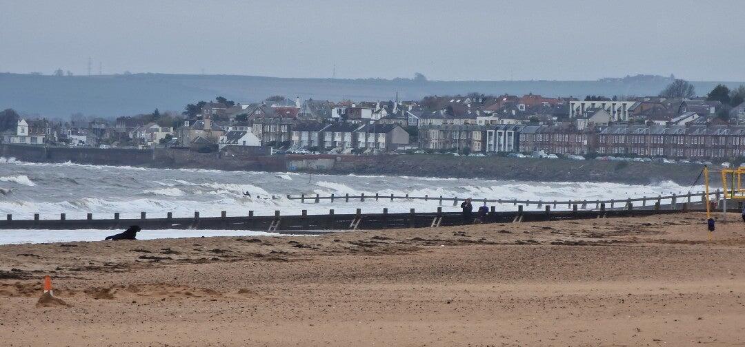 Portobello Swim Centre - Edinburgh - Nextdoor