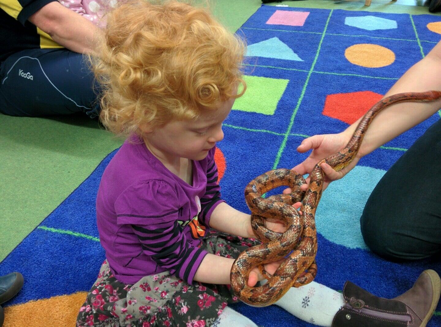 Lily Pads and the Courtyard Children's Centre - Chineham - Nextdoor