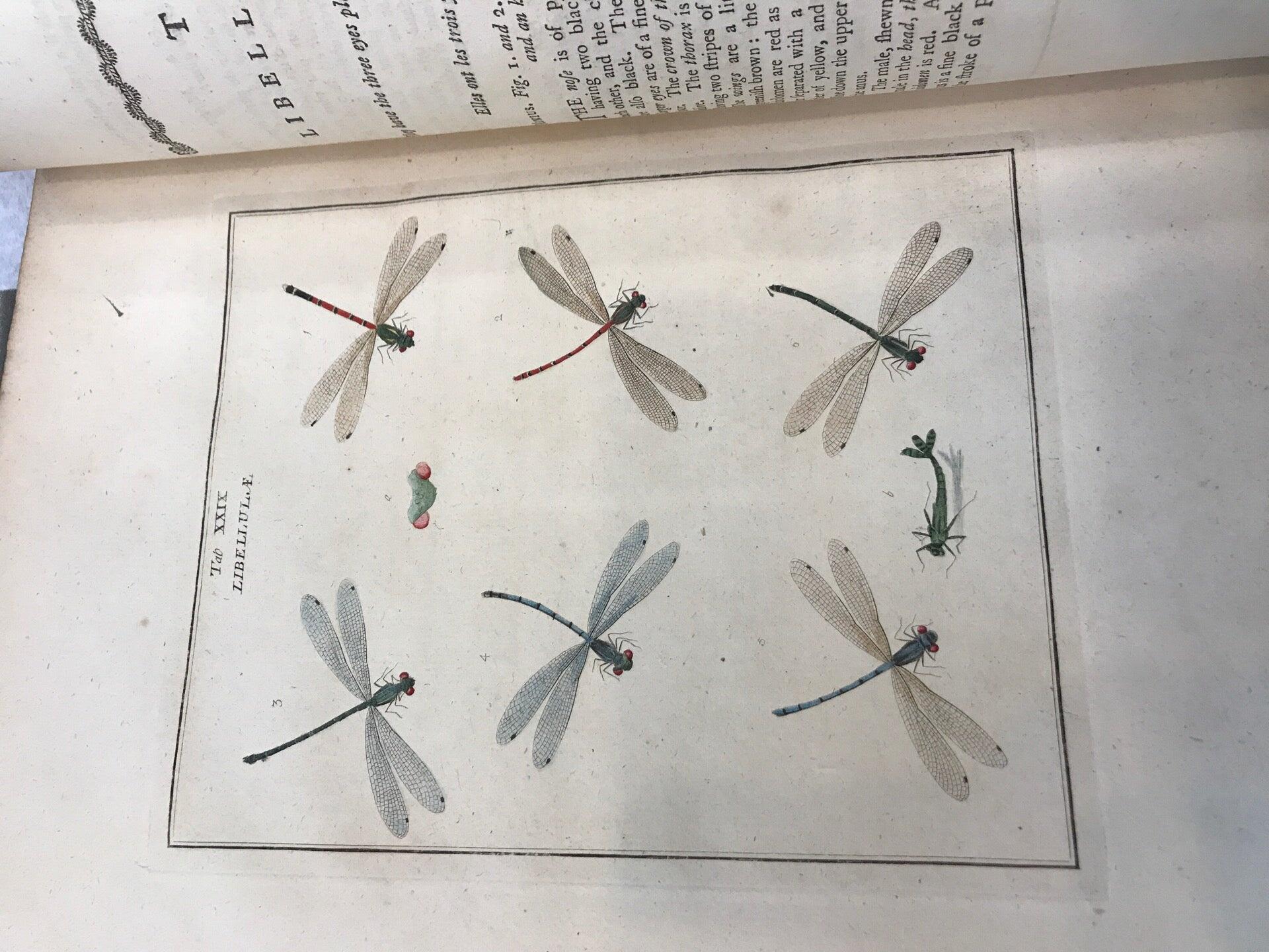 Institute of Zoology & Library - ZSL - London - Nextdoor