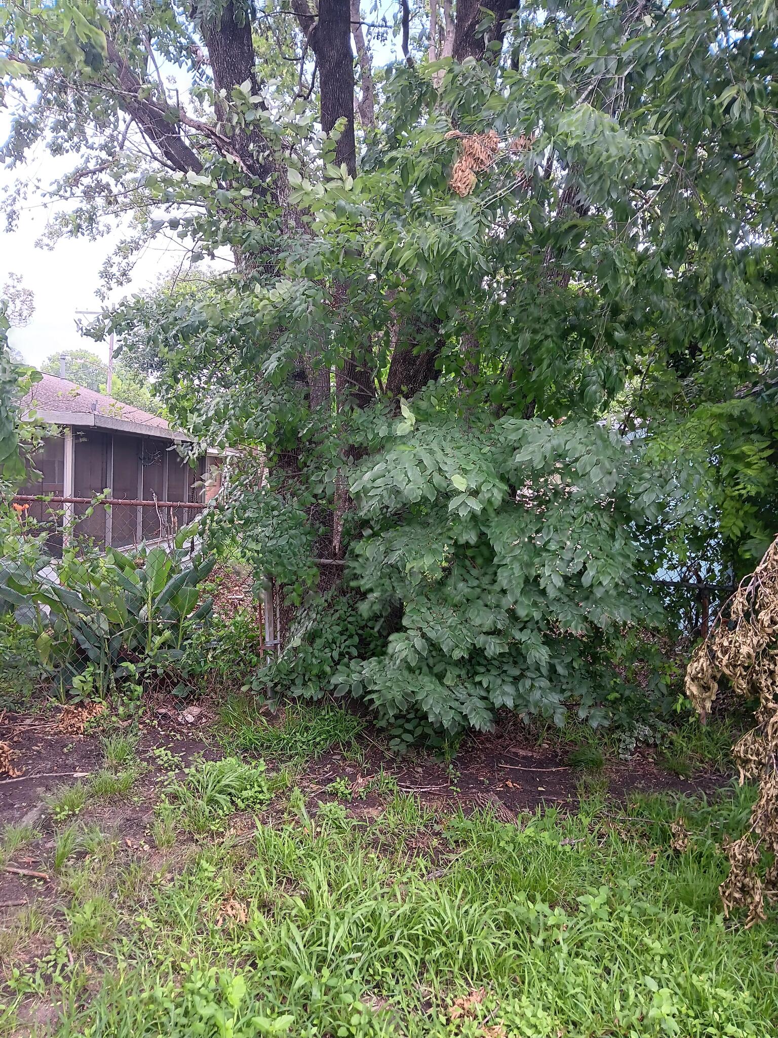 say less pay less - Houston, TX - Nextdoor