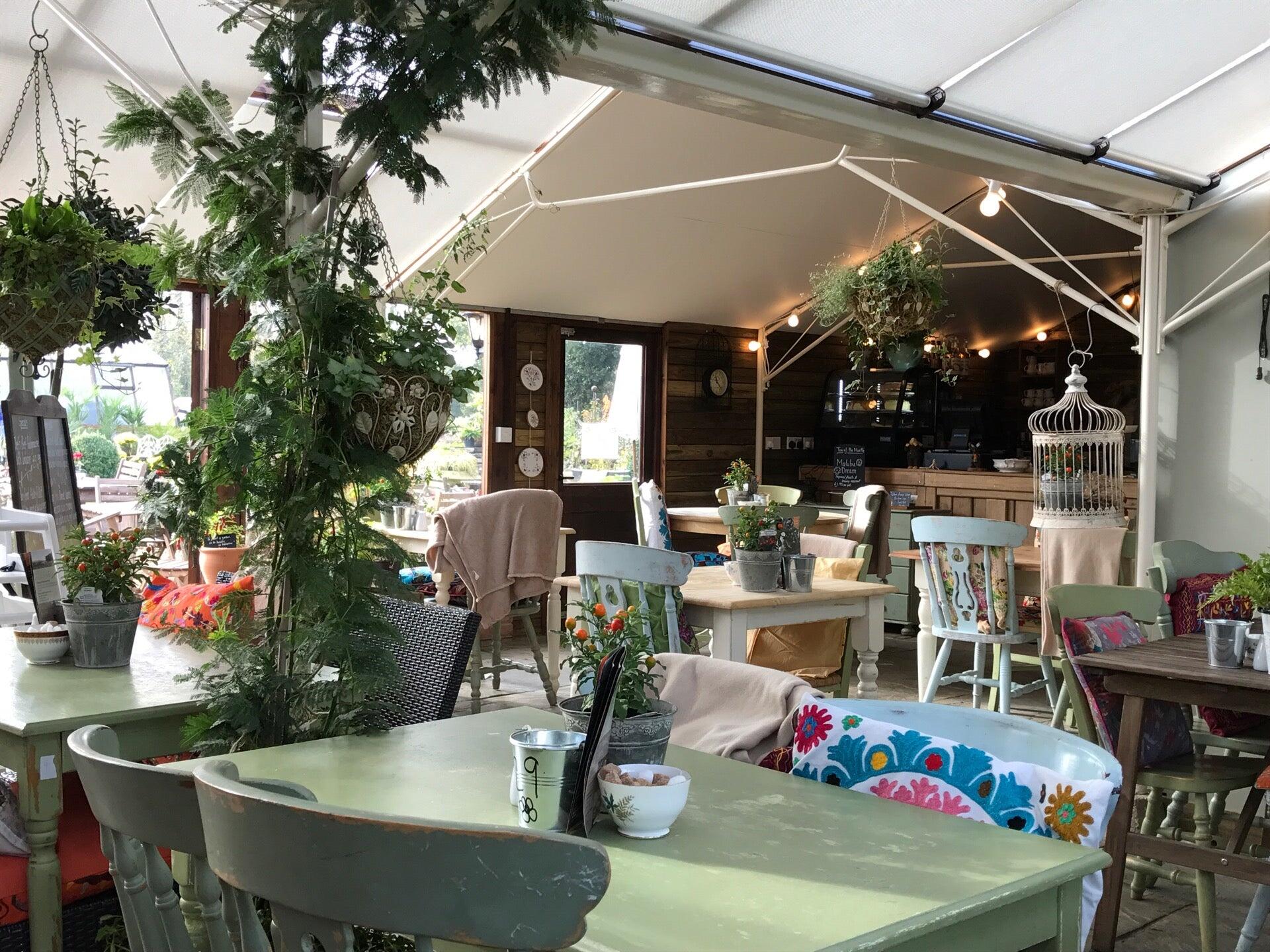 Rosie Lea's Kitchen - Brockenhurst - Nextdoor