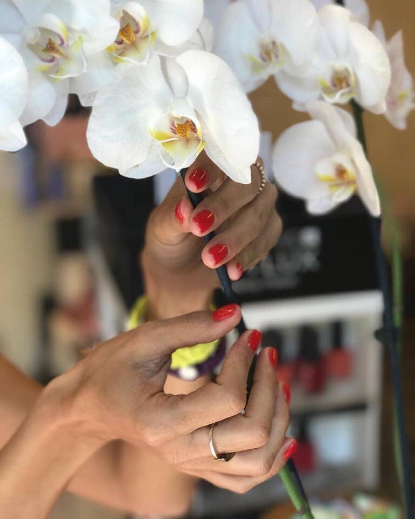 Tropical Light - Milano - Nextdoor