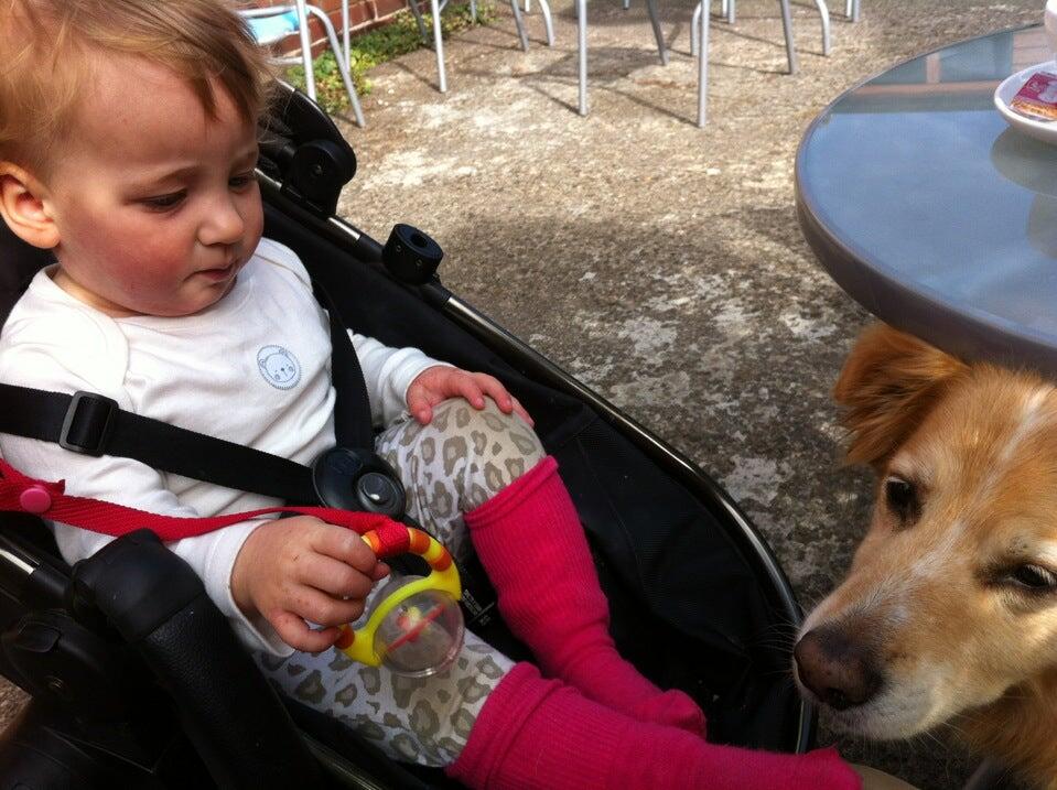 Cockleshell Cafe. St James Church - Staxton - Nextdoor