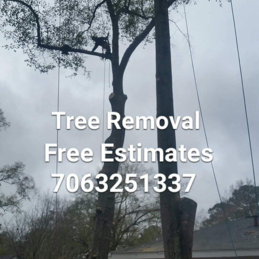 Tree Brothers Tree Service - Nextdoor