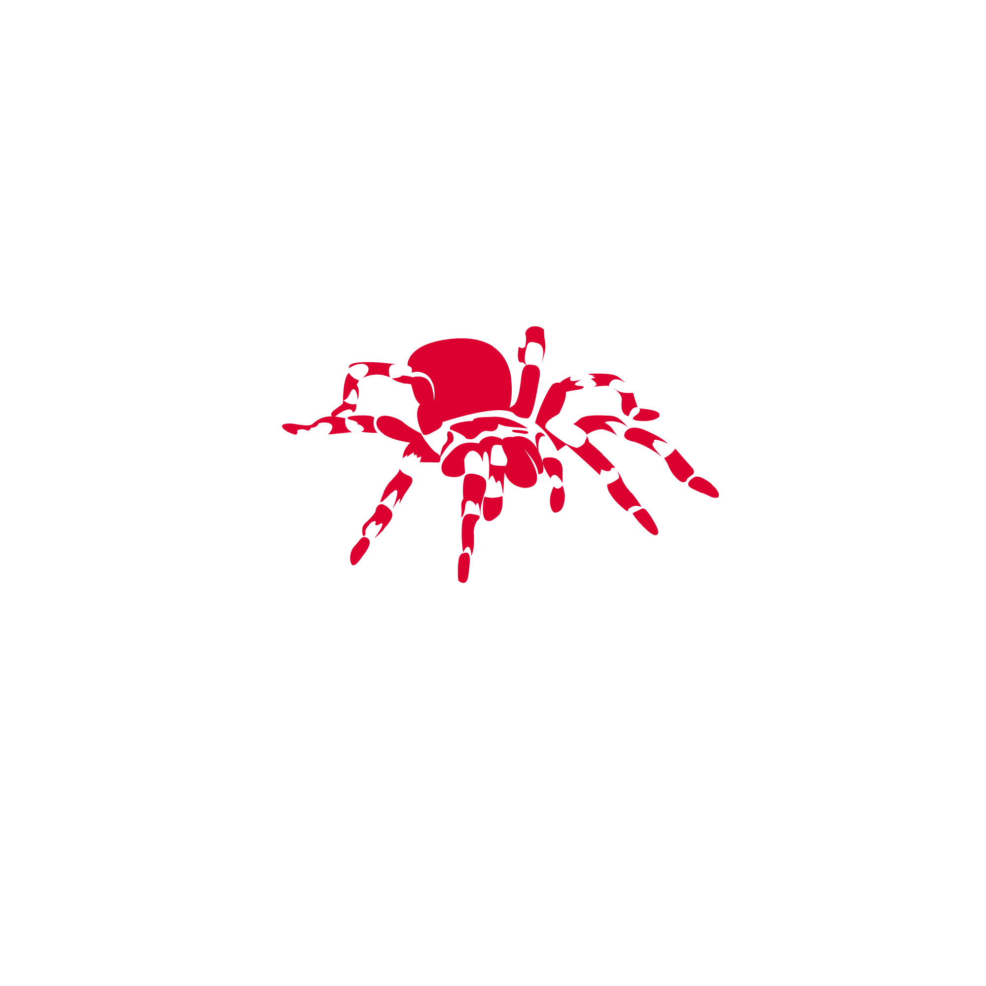 Rescue Spider - Nextdoor