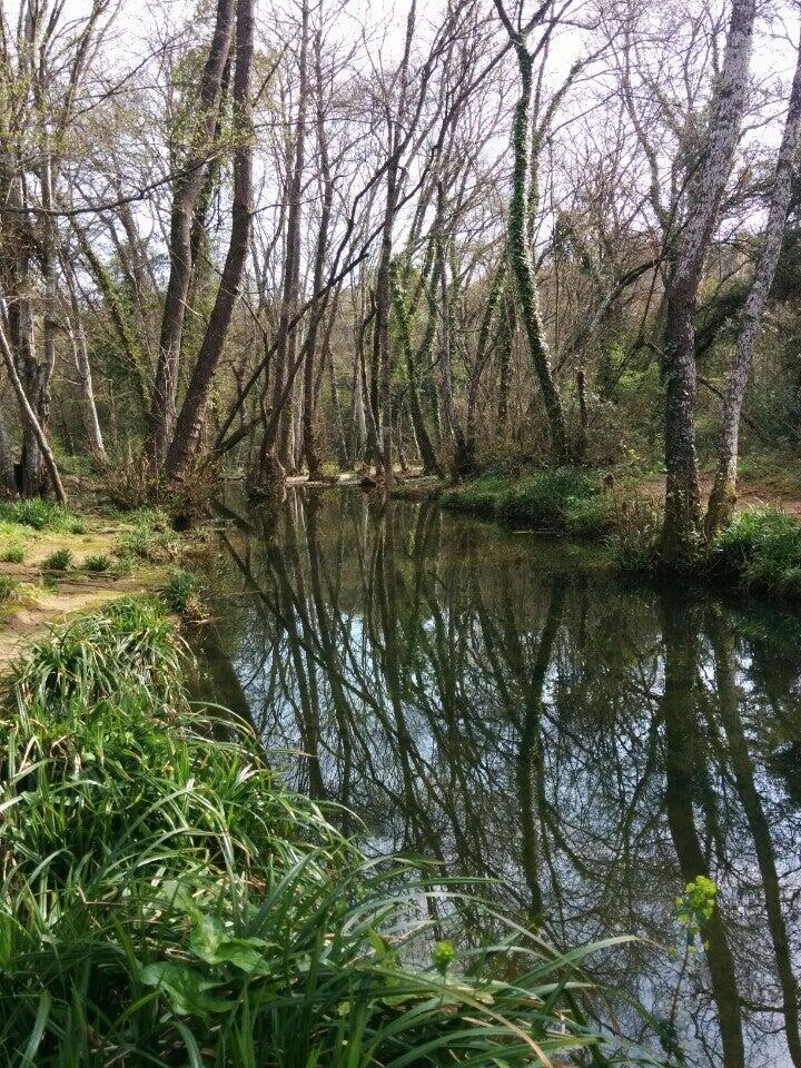 Parc des Bouillides - Nextdoor