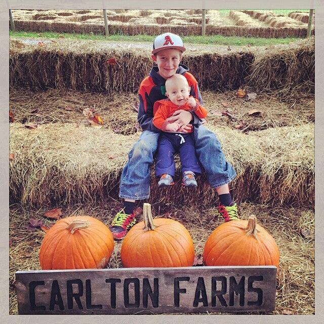 Carlton Farms - Rockmart, GA - Nextdoor