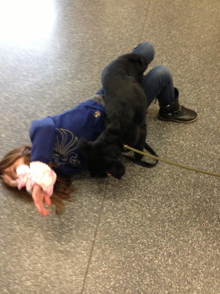 Uspca - Newry - Nextdoor