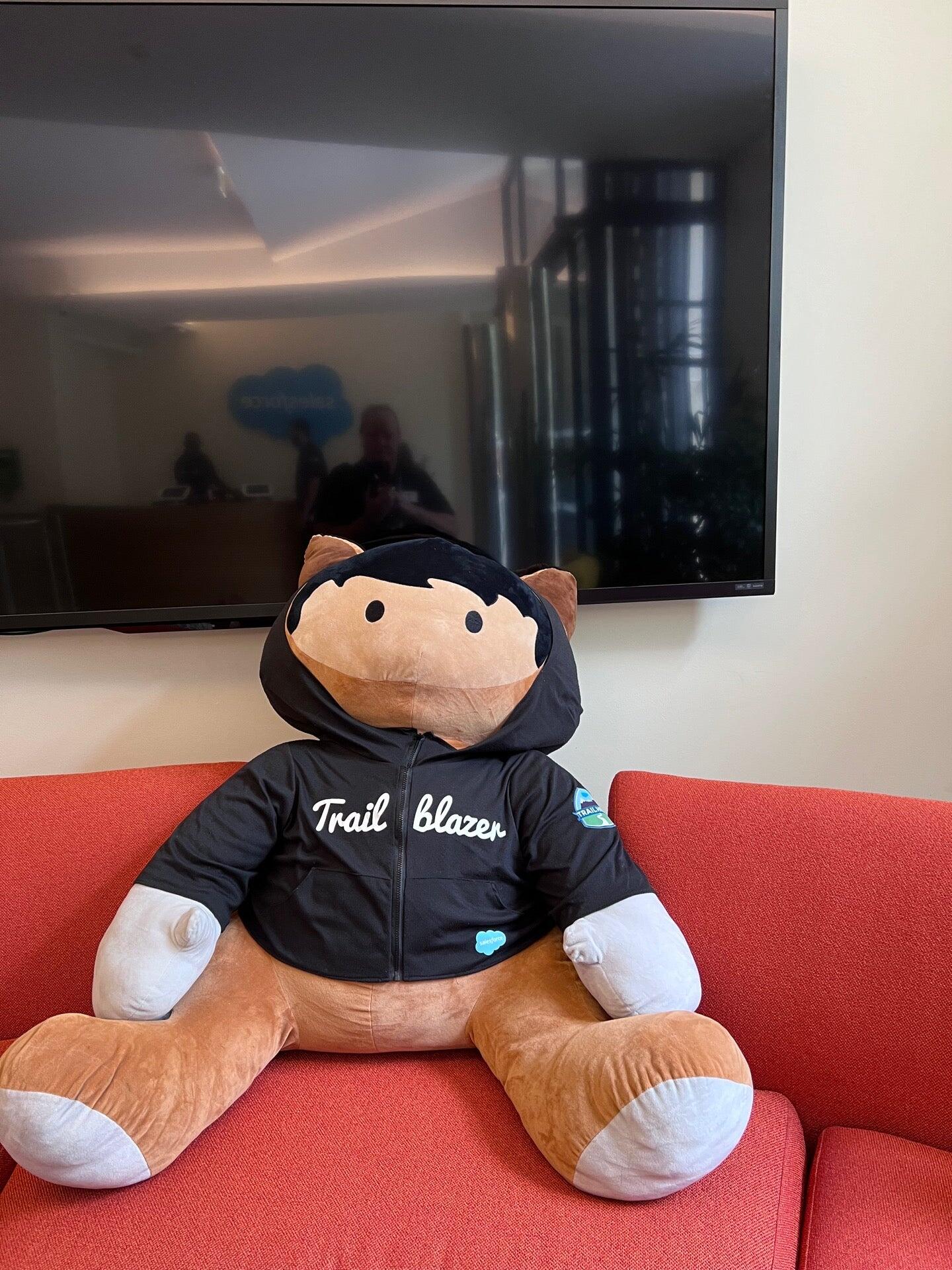 Salesforce France - Nextdoor