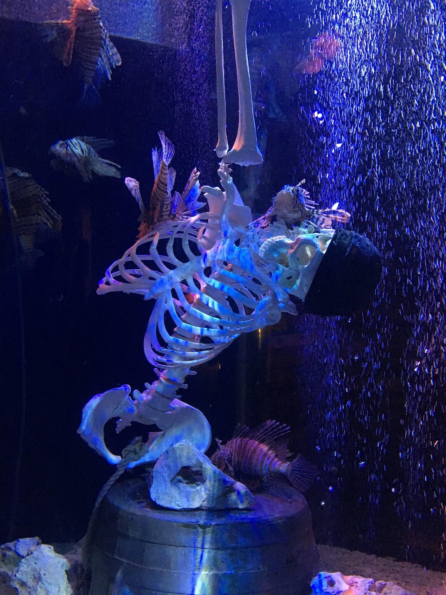 Mutiny Bay - Alton - Nextdoor