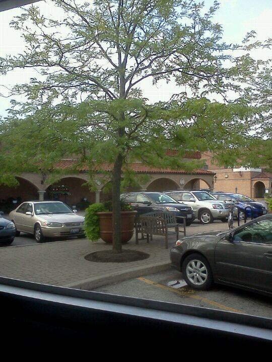 Plaza Del Lago - Wilmette, IL - Nextdoor