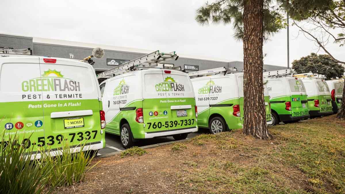 Green Flash Cleaner