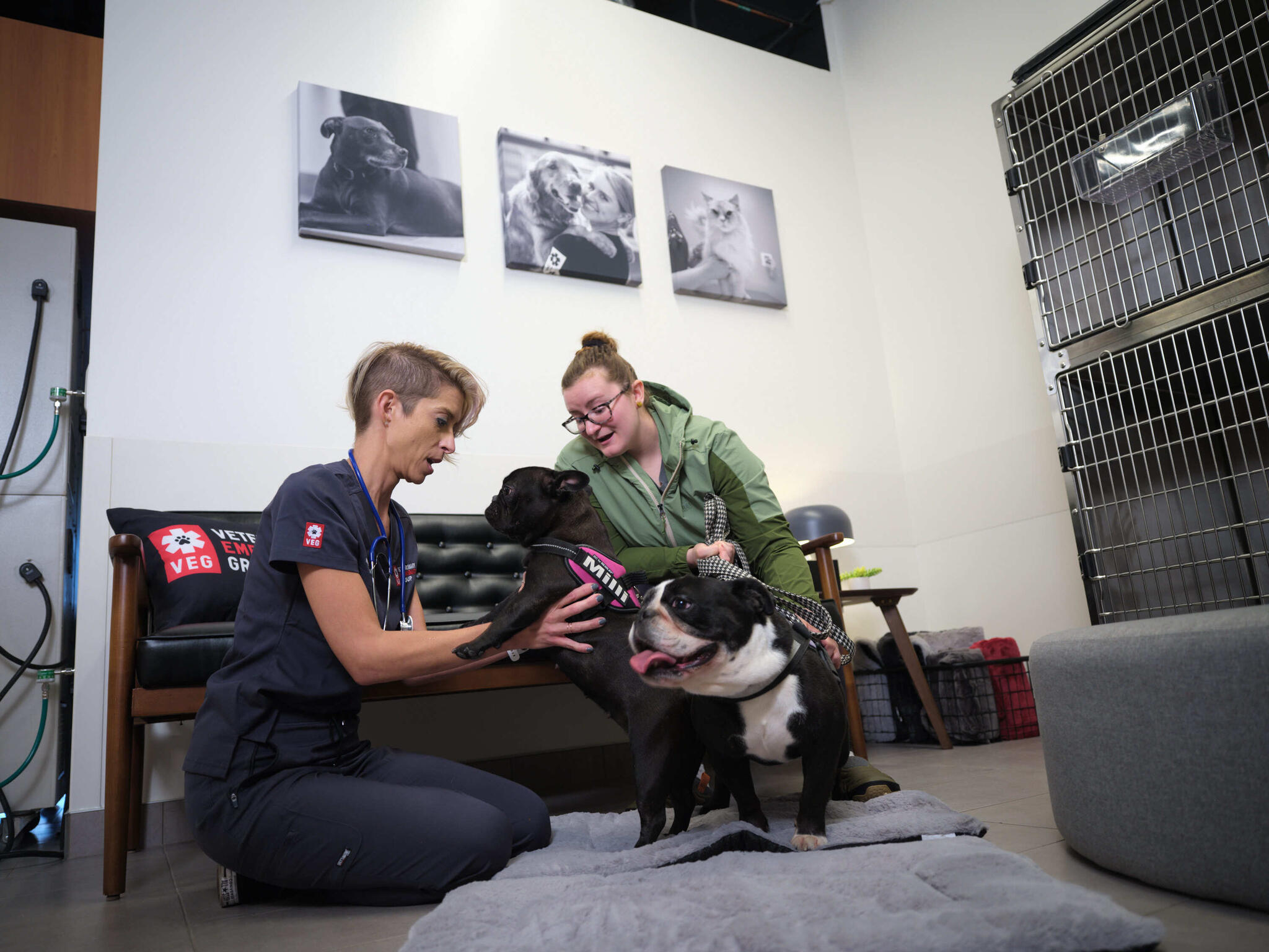 Veterinary Emergency Group - Lynnwood, WA - Nextdoor