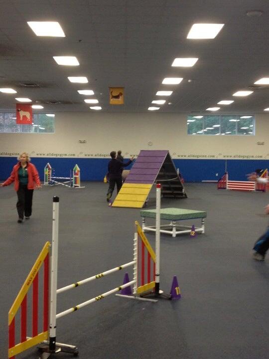 All Dogs Gym - Manchester, NH - Nextdoor