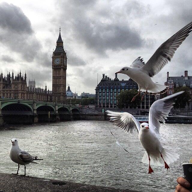 The Big Shot - London - Nextdoor