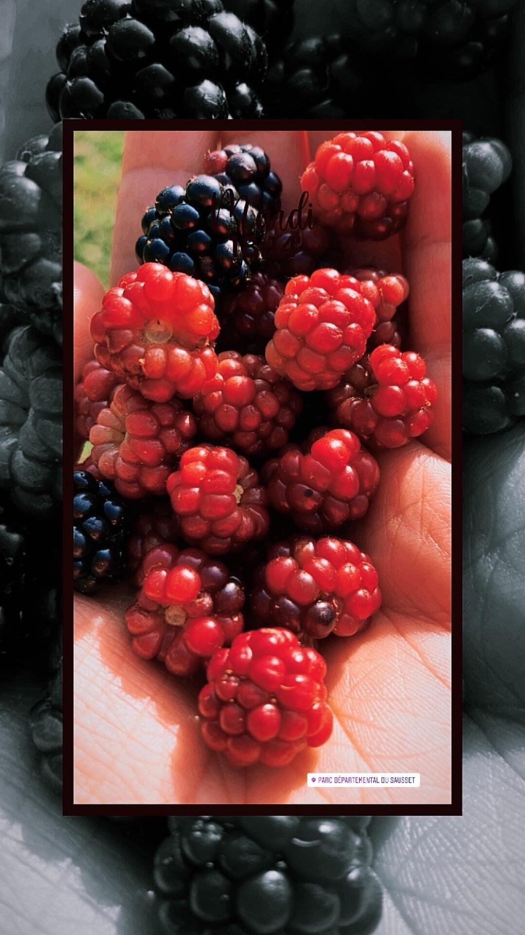 Parc du Sausset - Nextdoor