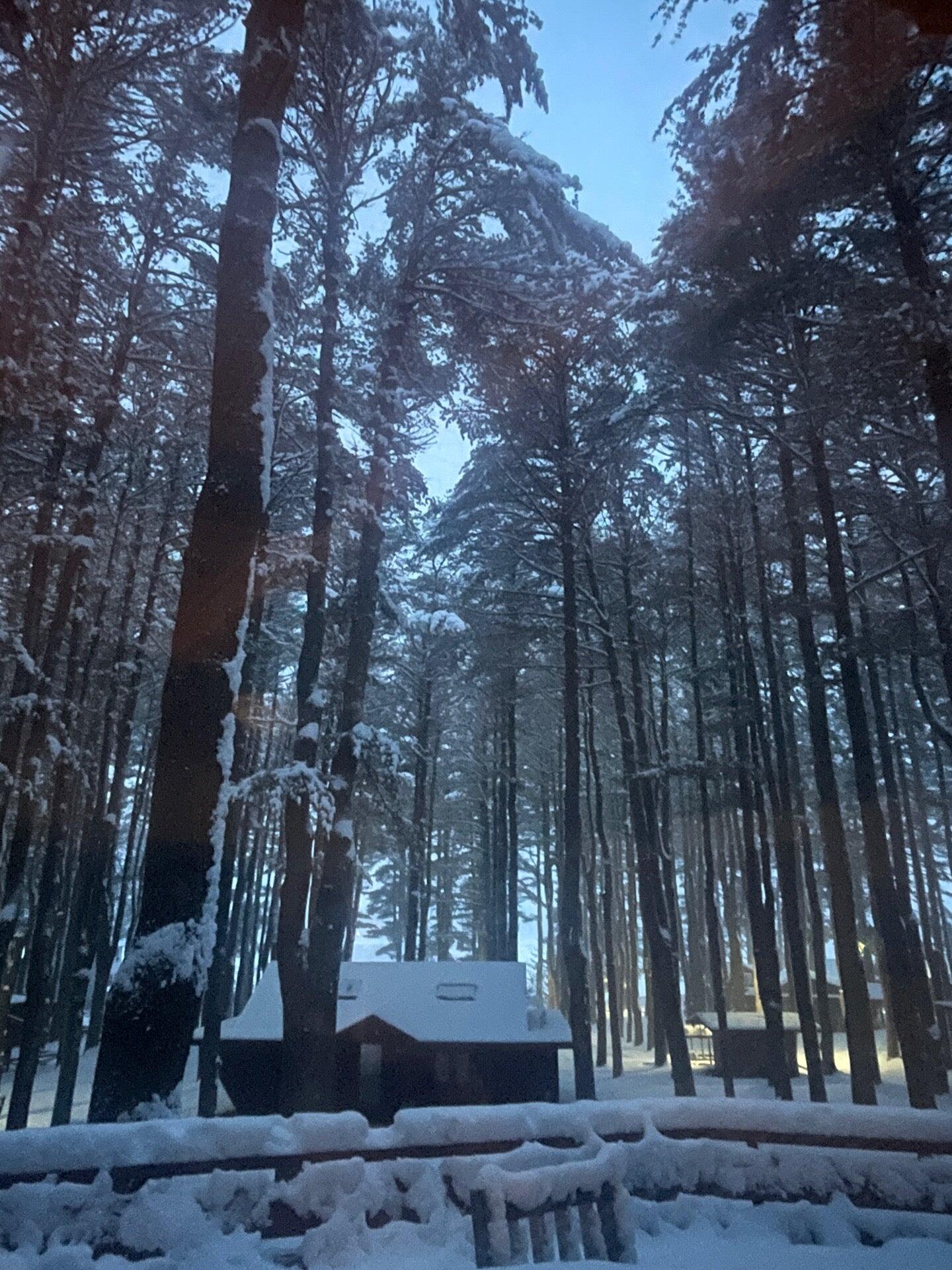 Island Pointe Resort - Wisconsin Dells, WI - Nextdoor