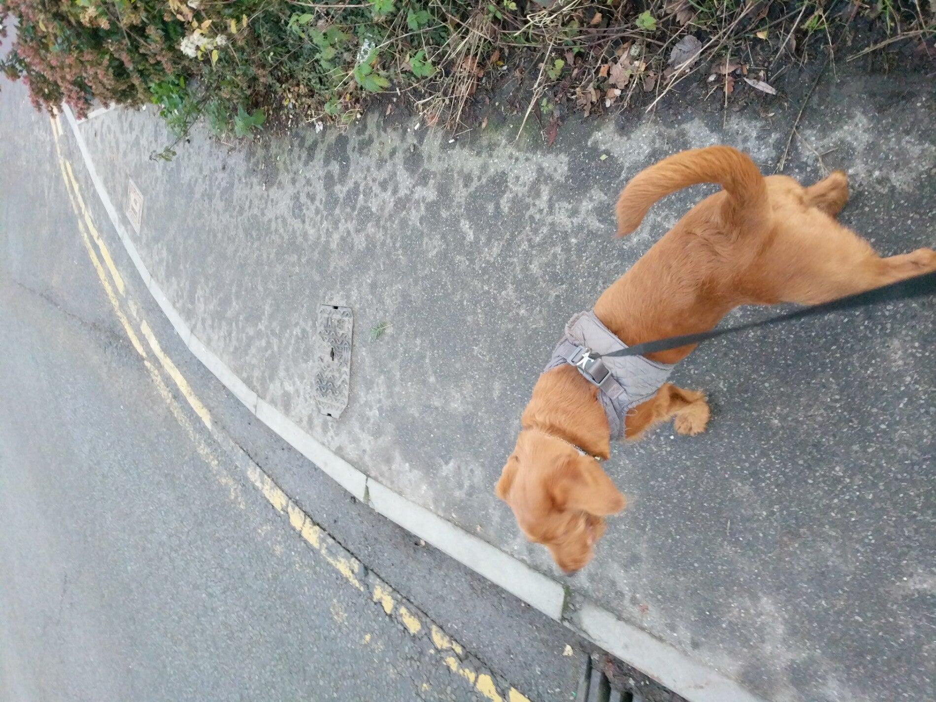 Churchfields Industrial Estate - Salisbury - Nextdoor