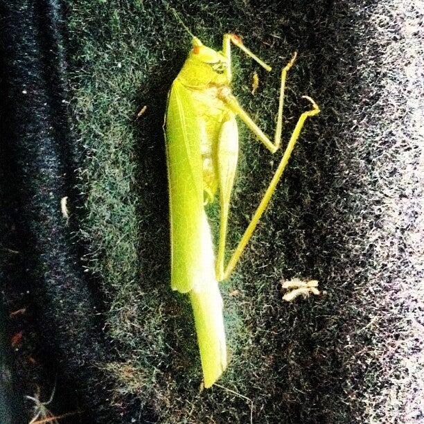 Westside Car Wash - Santa Cruz, CA - Nextdoor