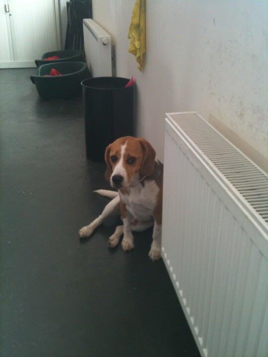 The Eet-Team - Nextdoor