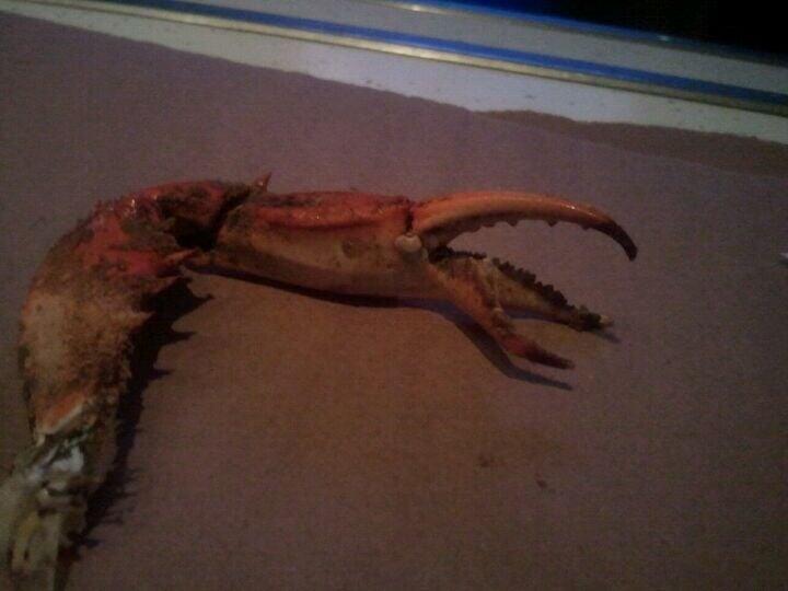 Dew Drop Inn - Kingsville, MD - Nextdoor