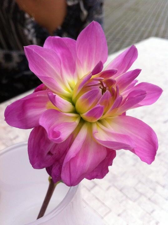 Cafe Midpoint ApS - Nextdoor