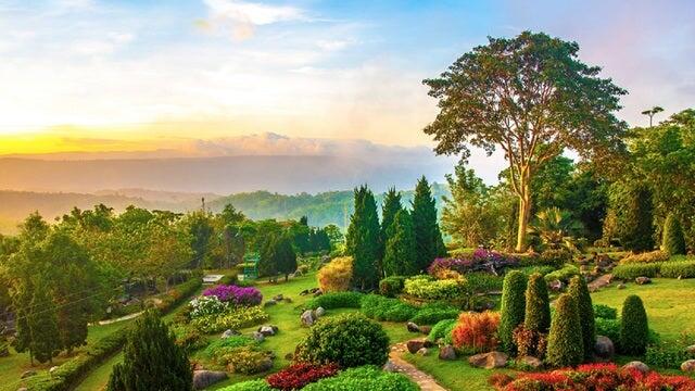 Fresh Field Landscapes - Liverpool - Nextdoor