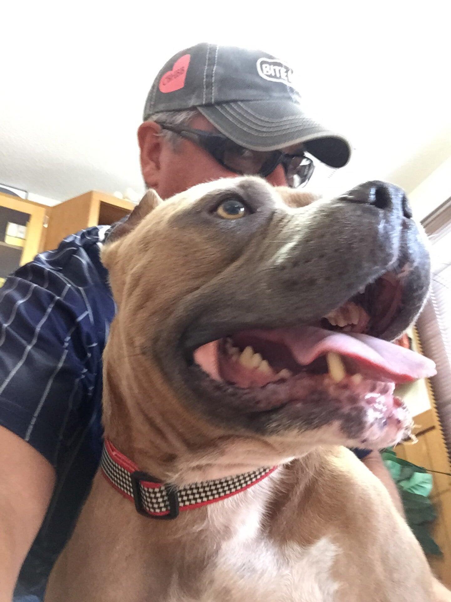 Davis Animal Hospital - Statesville, NC - Nextdoor