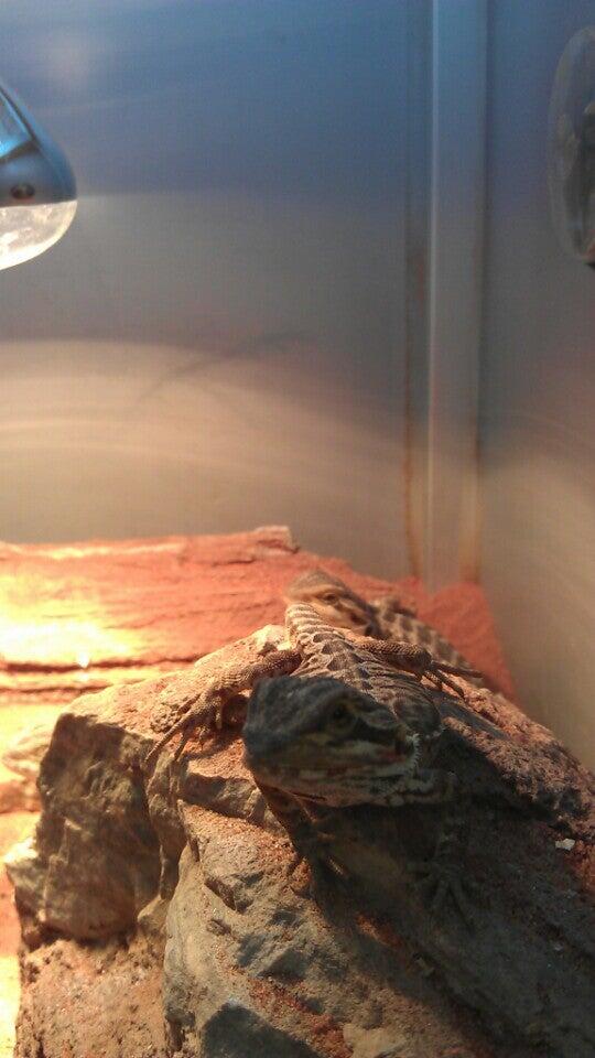 Southern Aquatics & Pets - Pool - Nextdoor