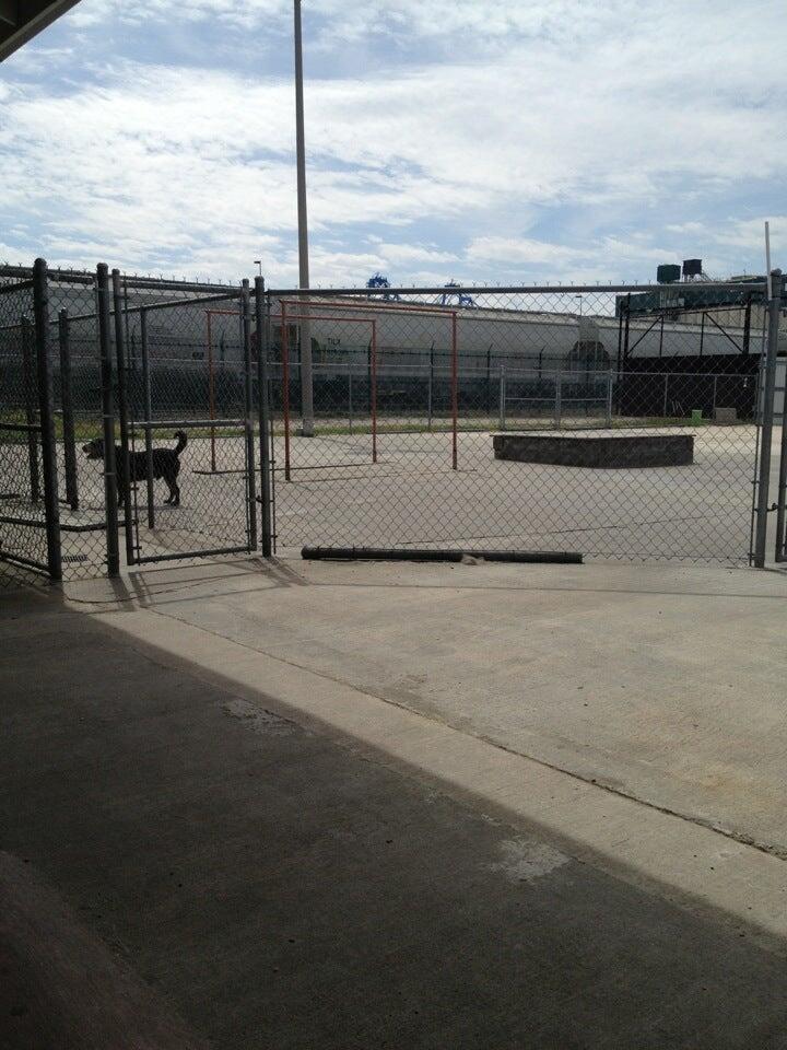 Canine Connection - New Orleans, LA - Nextdoor