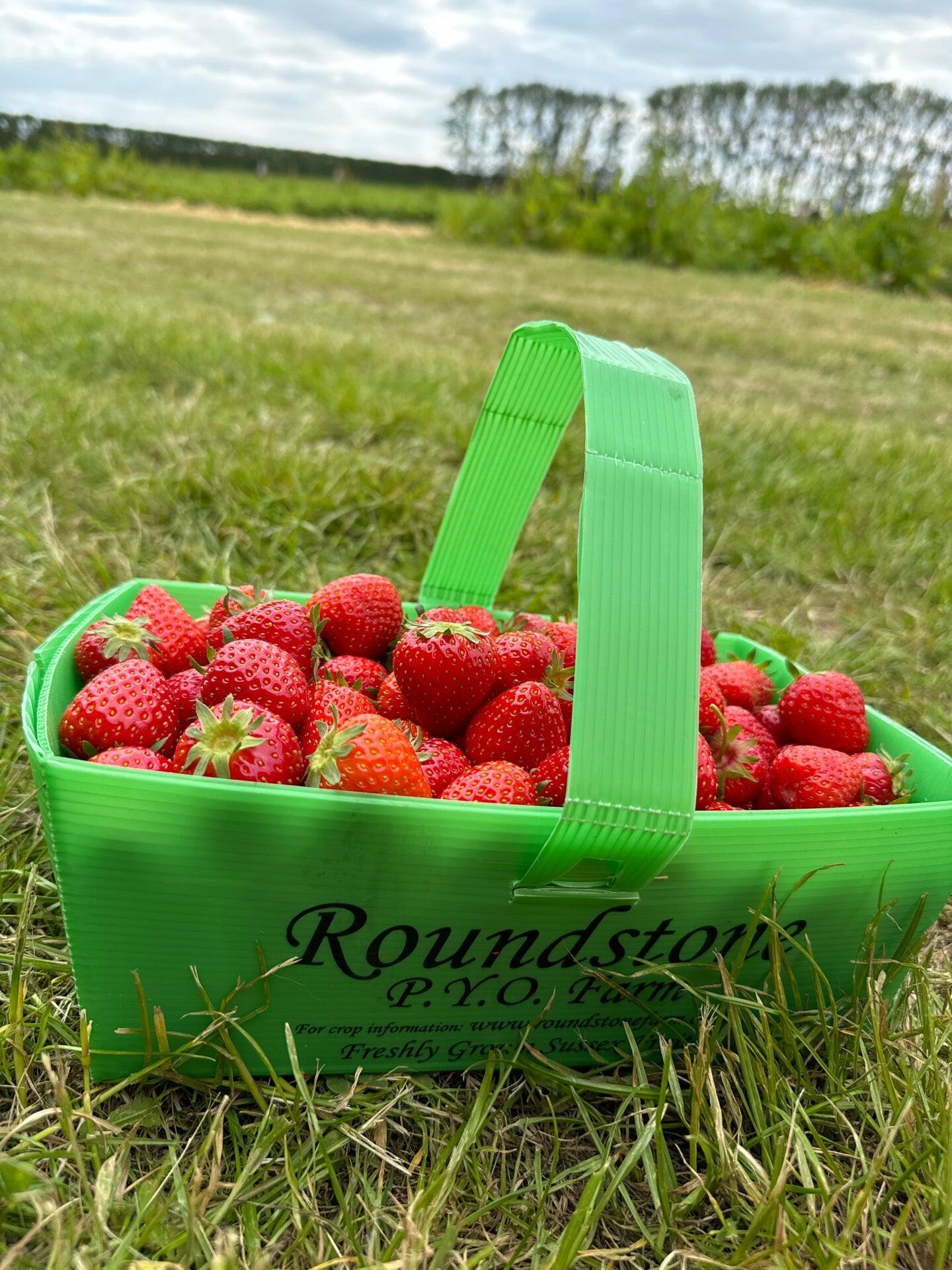 Roundstone Pick Your Own Farm - Ferring - Nextdoor