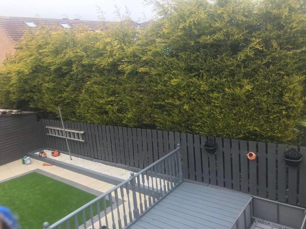 Prestige Tree & Landscaping - Wingate - Nextdoor