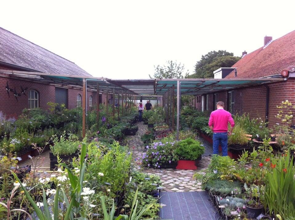 De Kleine-Oase - Nextdoor