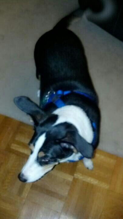 Candlewick Lake - Poplar Grove, IL - Nextdoor