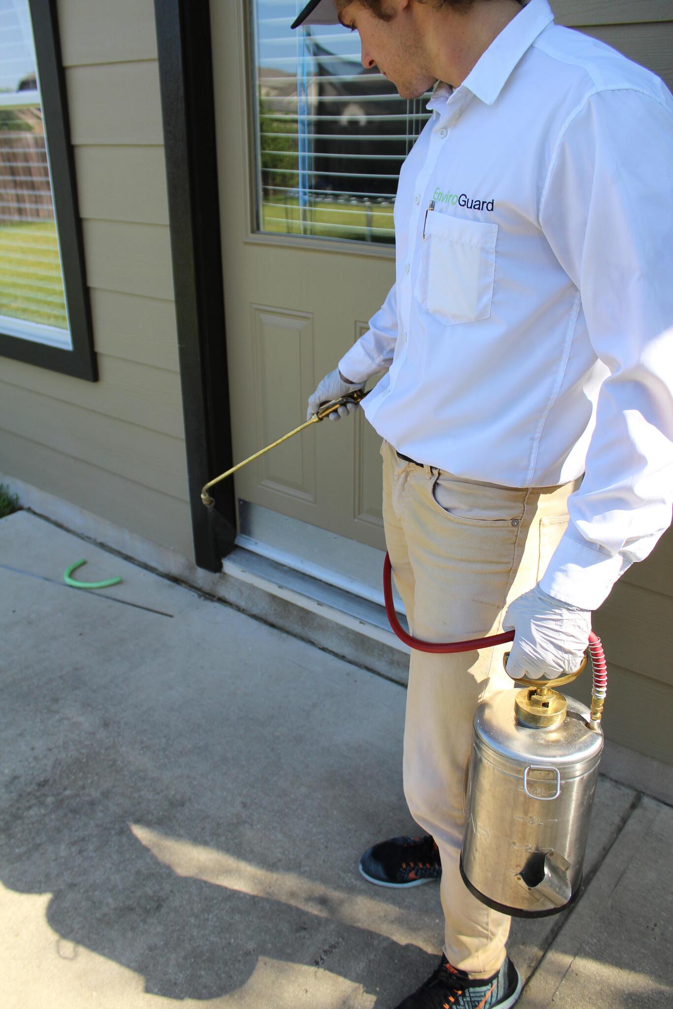 Pest Control Round Rock Tx