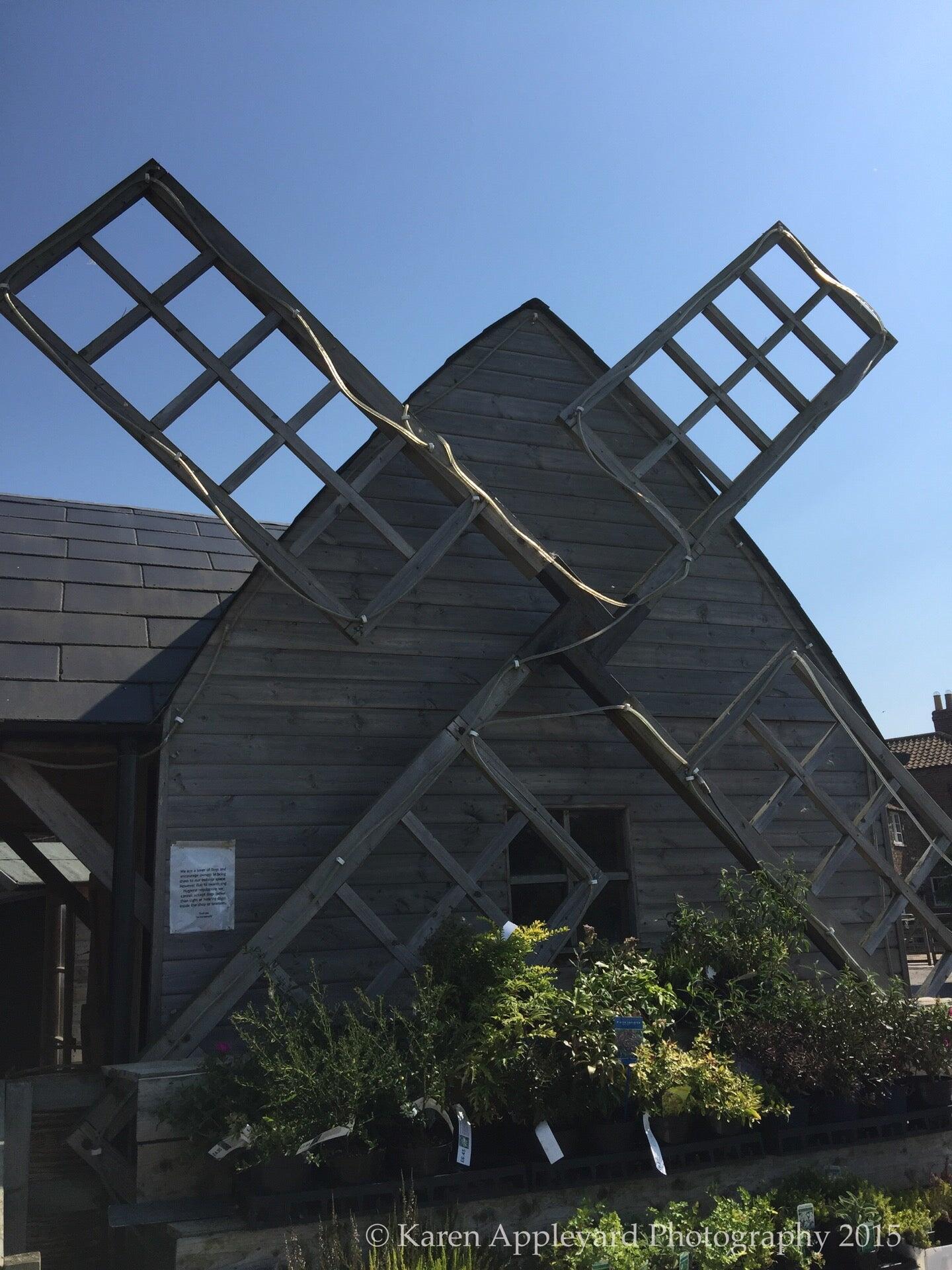 The Whole Hogg Cafe - Low Marishes - Nextdoor