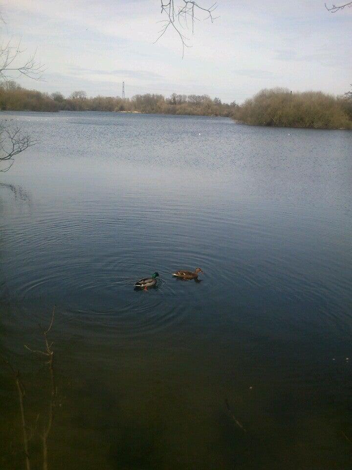 Cheshunt Pond Cafe - Cheshunt - Nextdoor