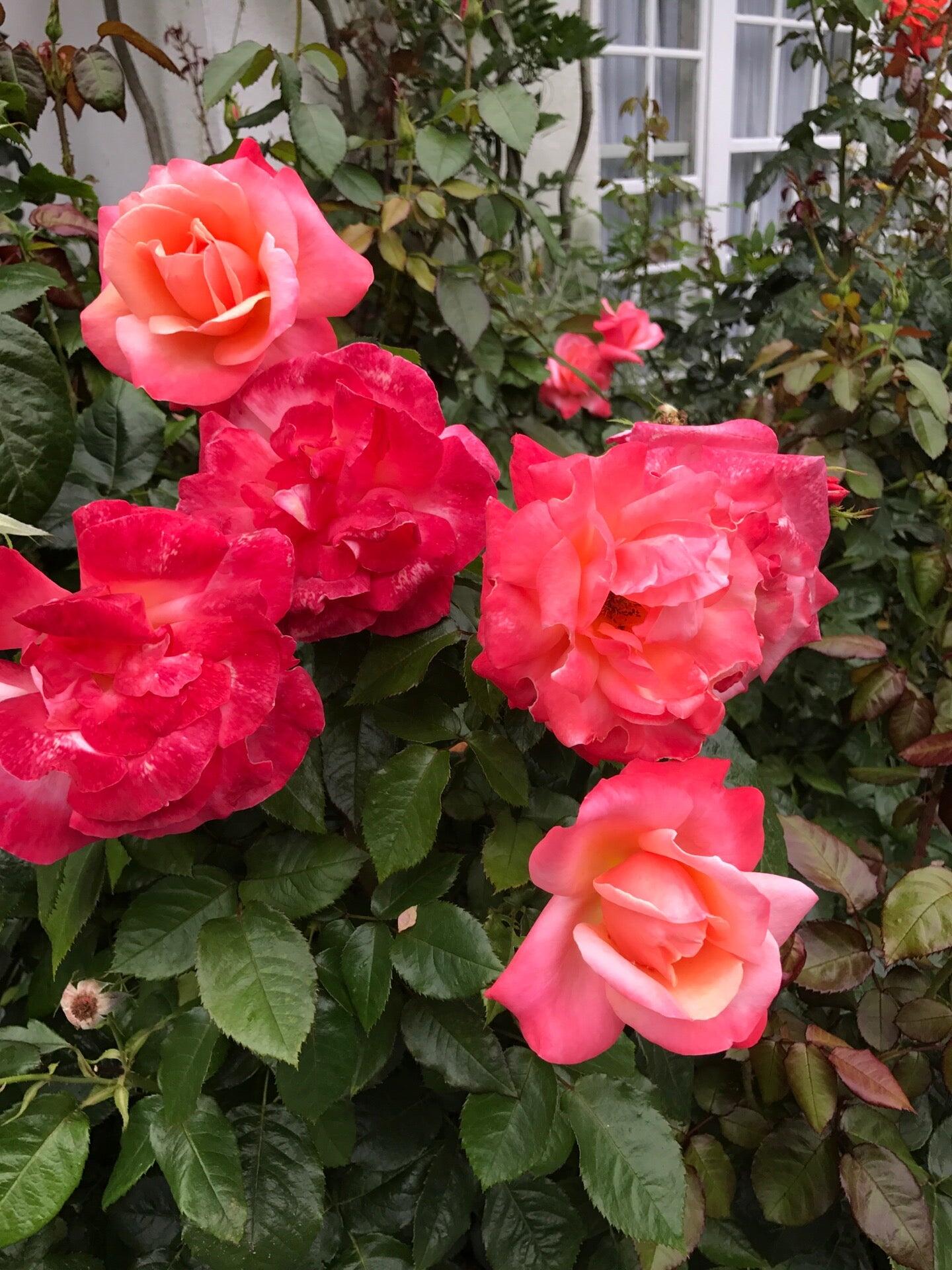 Crossways Hotel - Wilmington - Nextdoor