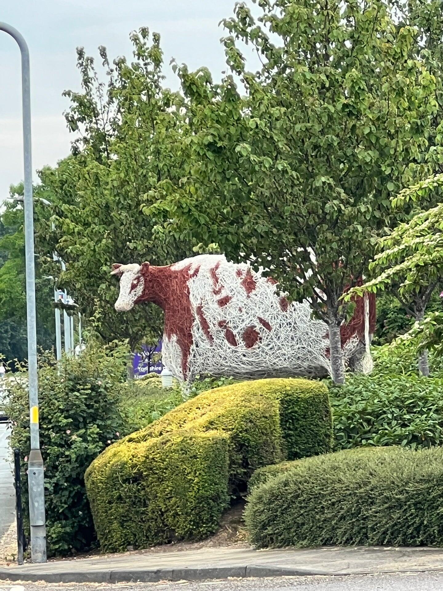 Fodder - Harrogate - Nextdoor