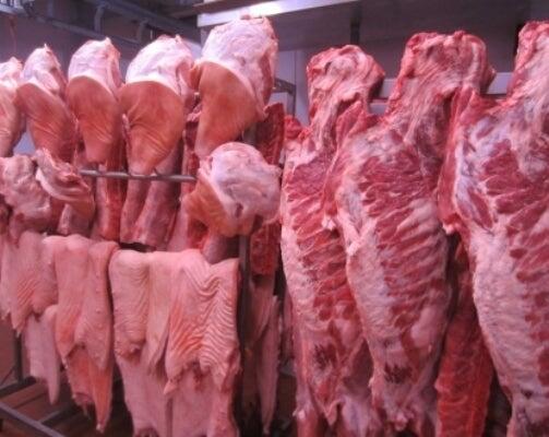 Nuova Angelo Turati - Nextdoor