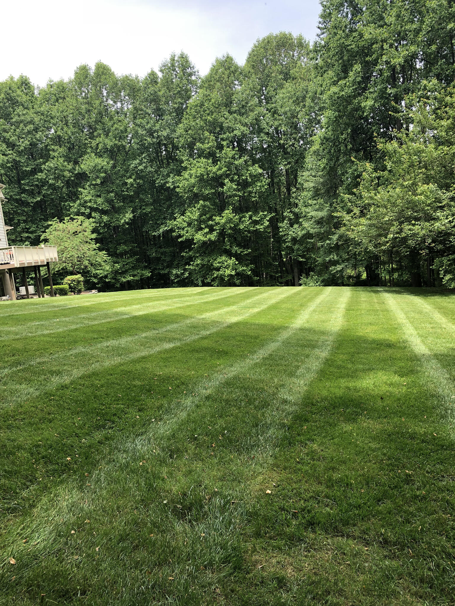 All Terrain Lawn Care - Sterling, VA - Nextdoor