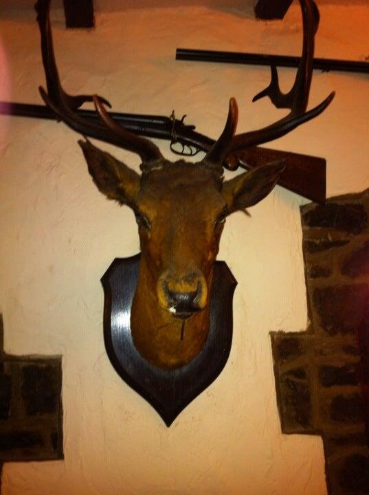 Sea Trout Inn - Staverton - Nextdoor