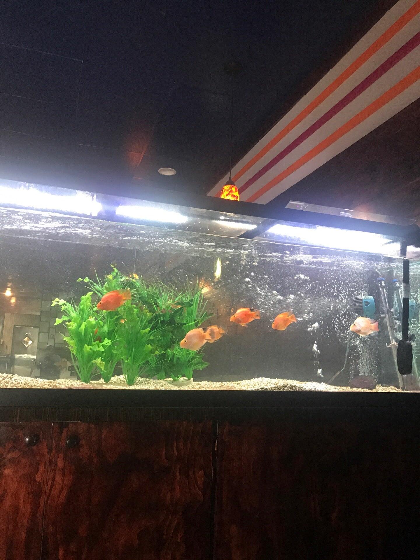 Look See - Ramsey, NJ - Nextdoor