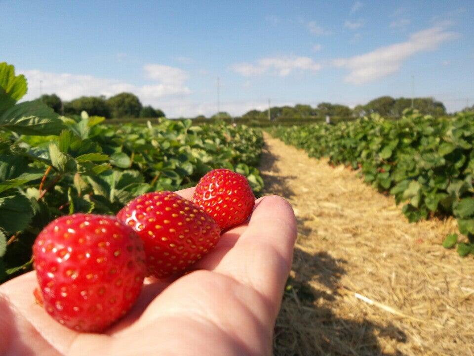 Pickwell Farm Shop - Bursledon - Nextdoor