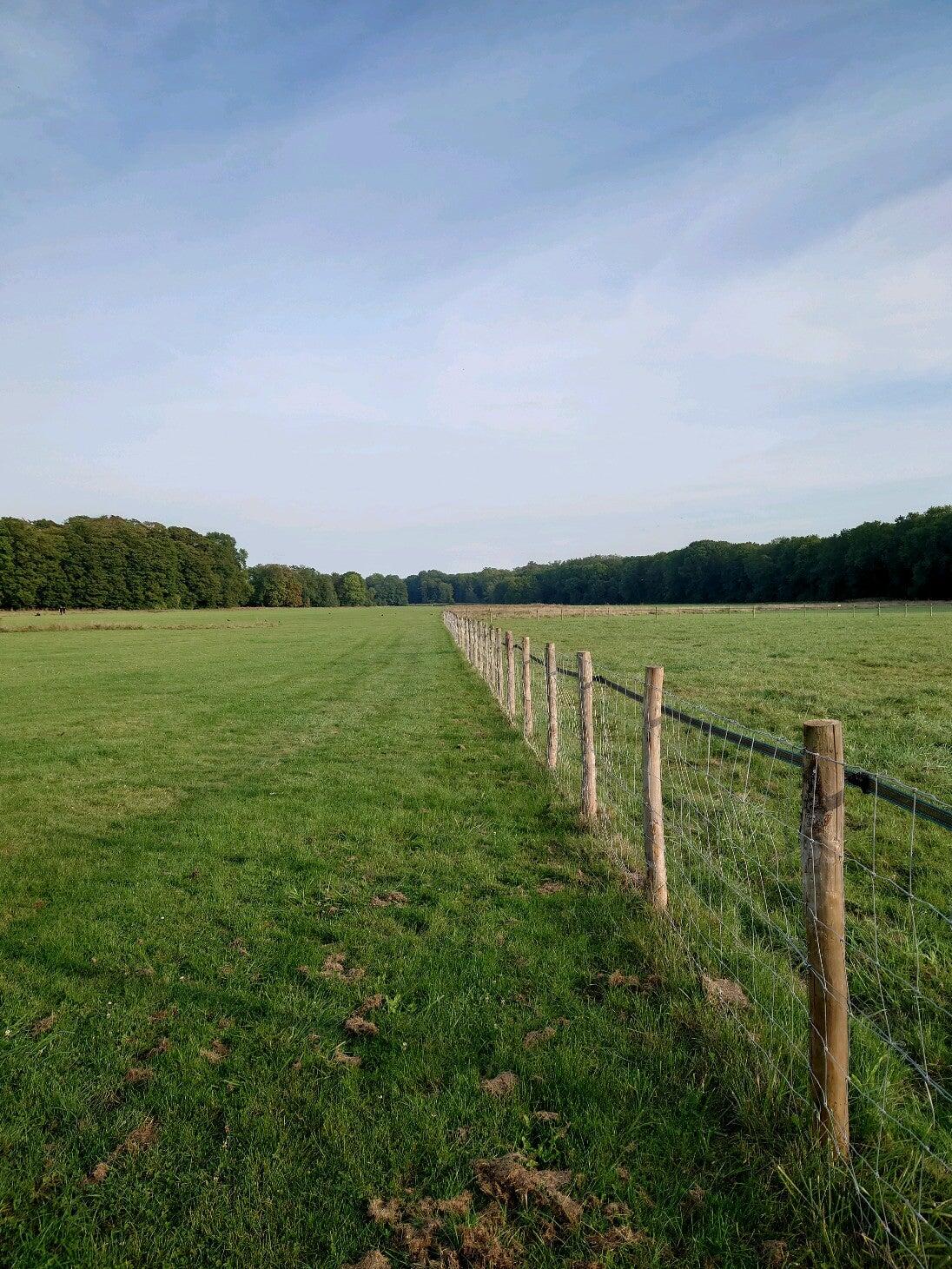 Parc de Noisiel - Nextdoor