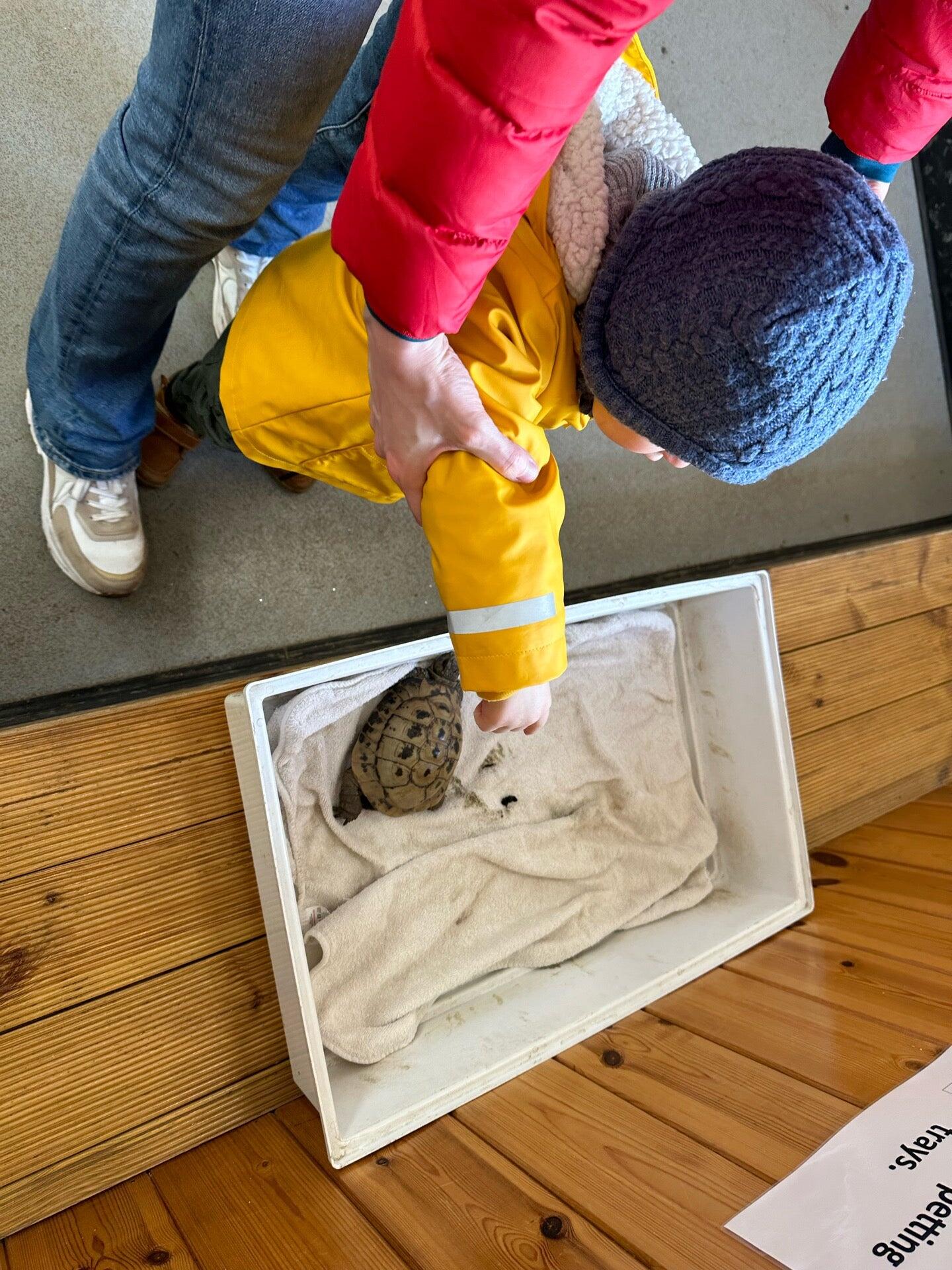 Manor Farm Animal Centre & Donkey Sanctuary - Loughborough, England ...