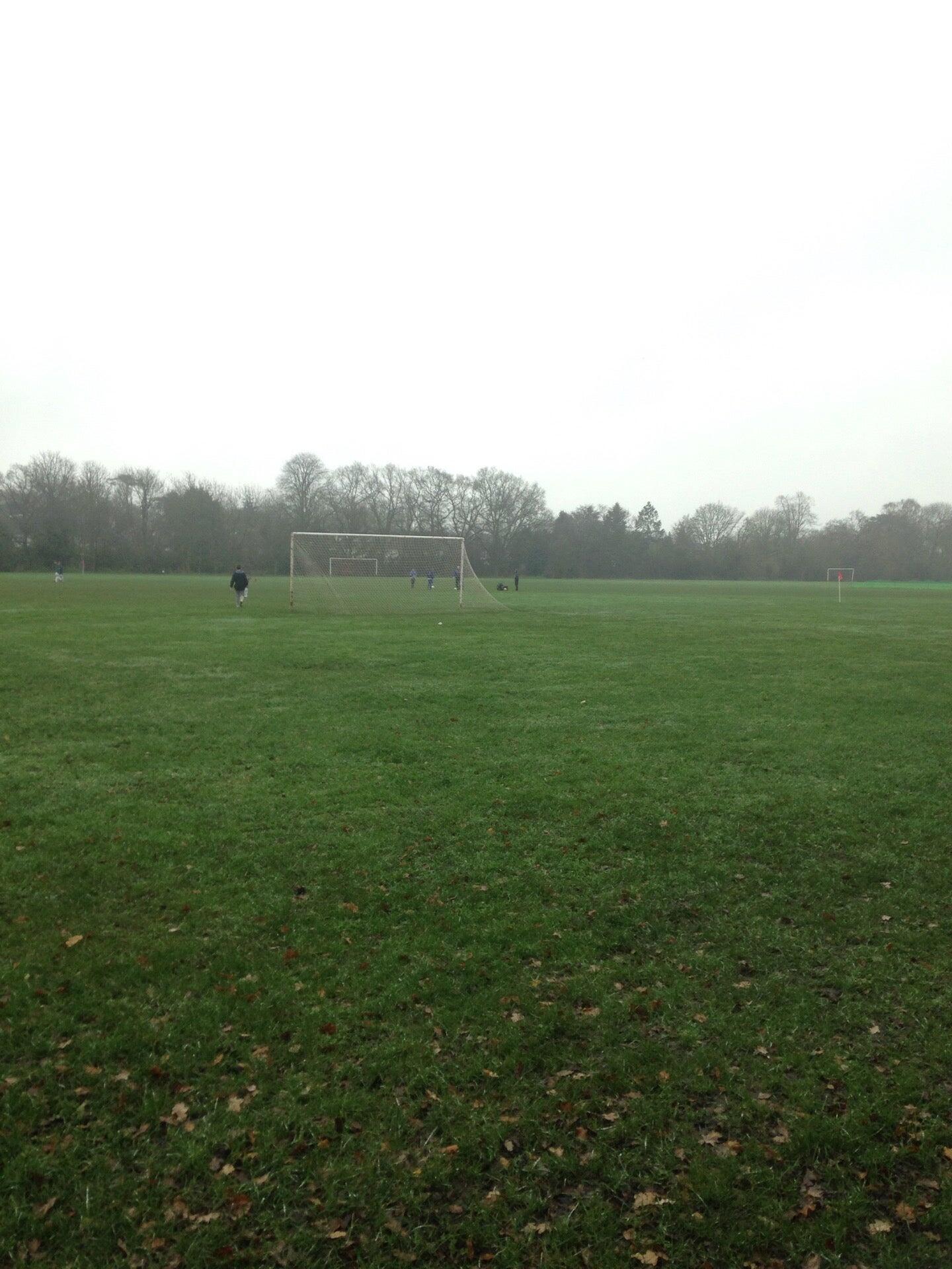 Sheen Lions FC - London - Nextdoor